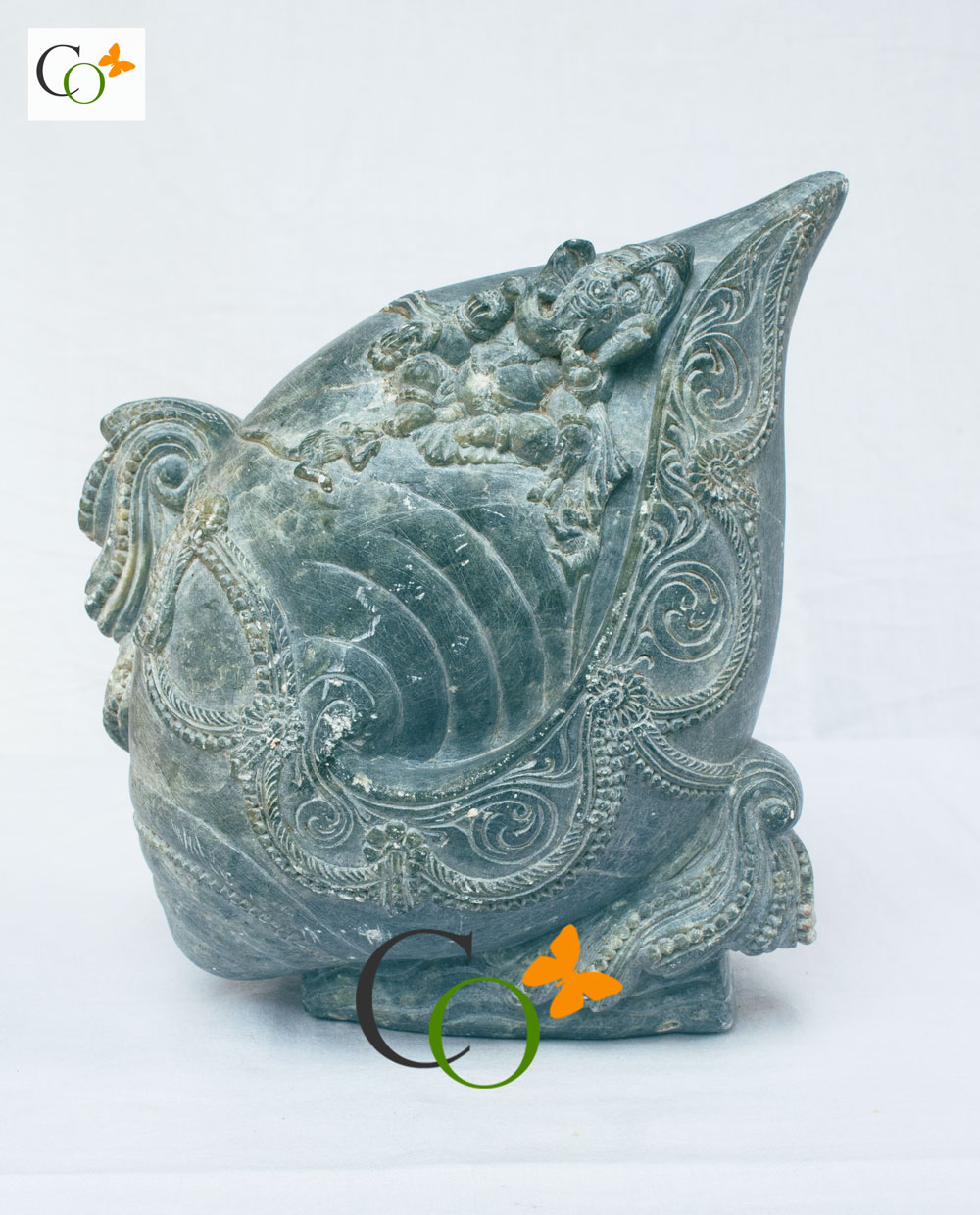 Natural Shankh for pooja, luck & prosperity - CRAFTS ODISHA